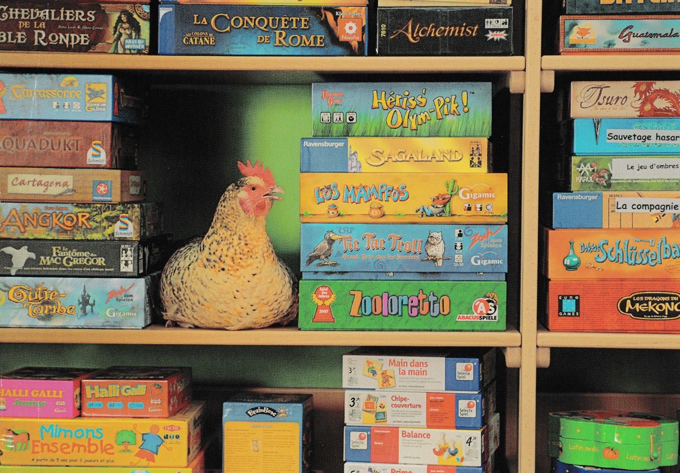 Musique et animaux : écouter, observer, danser