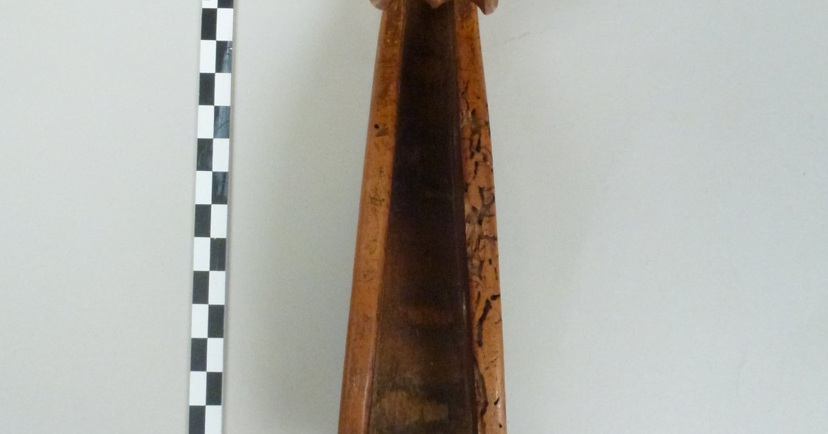 Tête de violoncelle - Les auteurs incontournables - Facteurs d ...