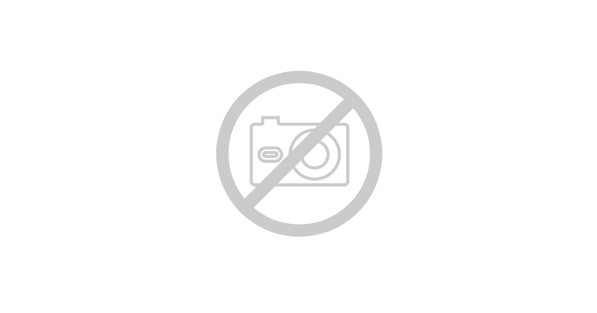 Mandolone - Accueil - musée de mirecourt