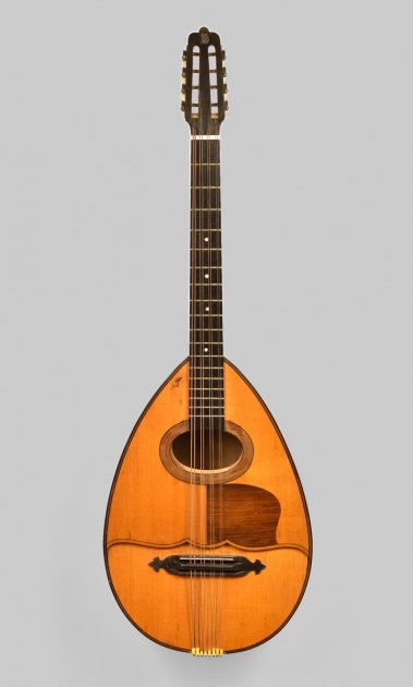 Mandolone - Mandolines - Instruments à cordes pincées - Collection i